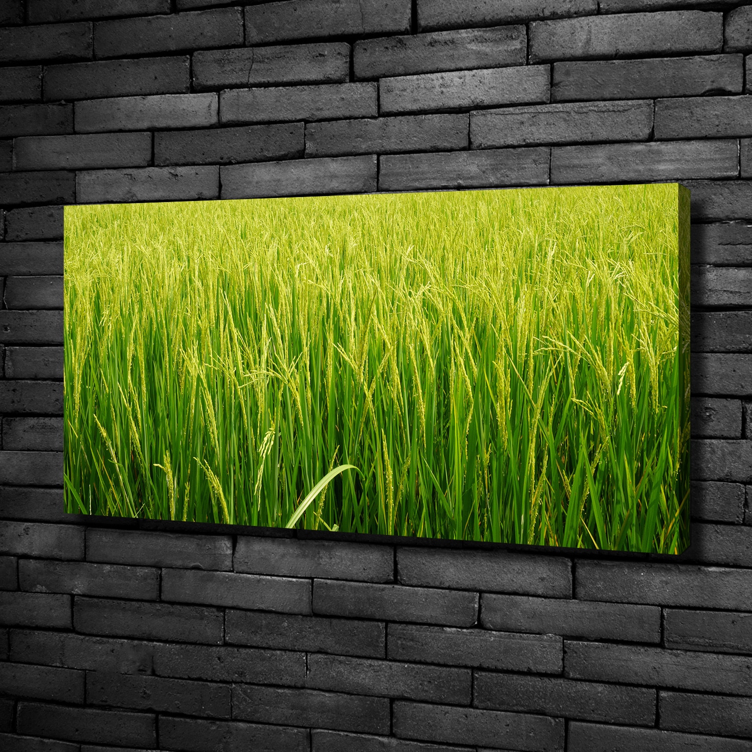 Pictura pe panza, 100x 50cm, Decorarea peretilor "Camp de orez” - eMAG.ro