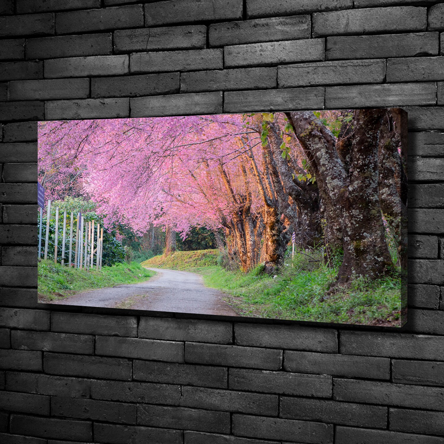 Imagine pe panza, 100 x 50, Decorarea peretilor, flori de cires - eMAG.ro