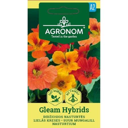 Condurul Doamnei Nasturtium Gleam Hybrids, Agronom, Seminte, plic, 2 ...