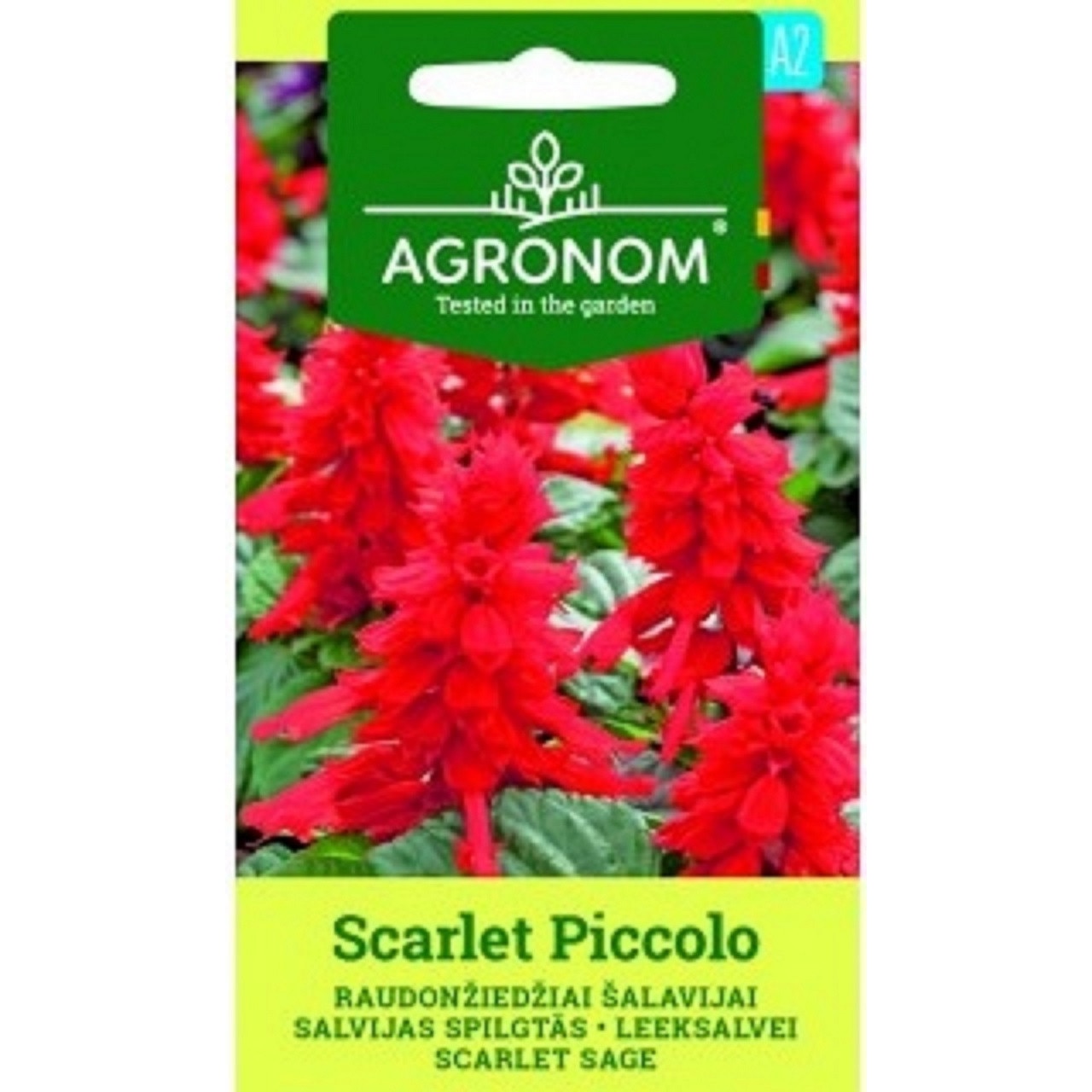 Salvia Scarlet Piccolo, Agronom, Seminte, plic, 0.15 grame - eMAG.ro