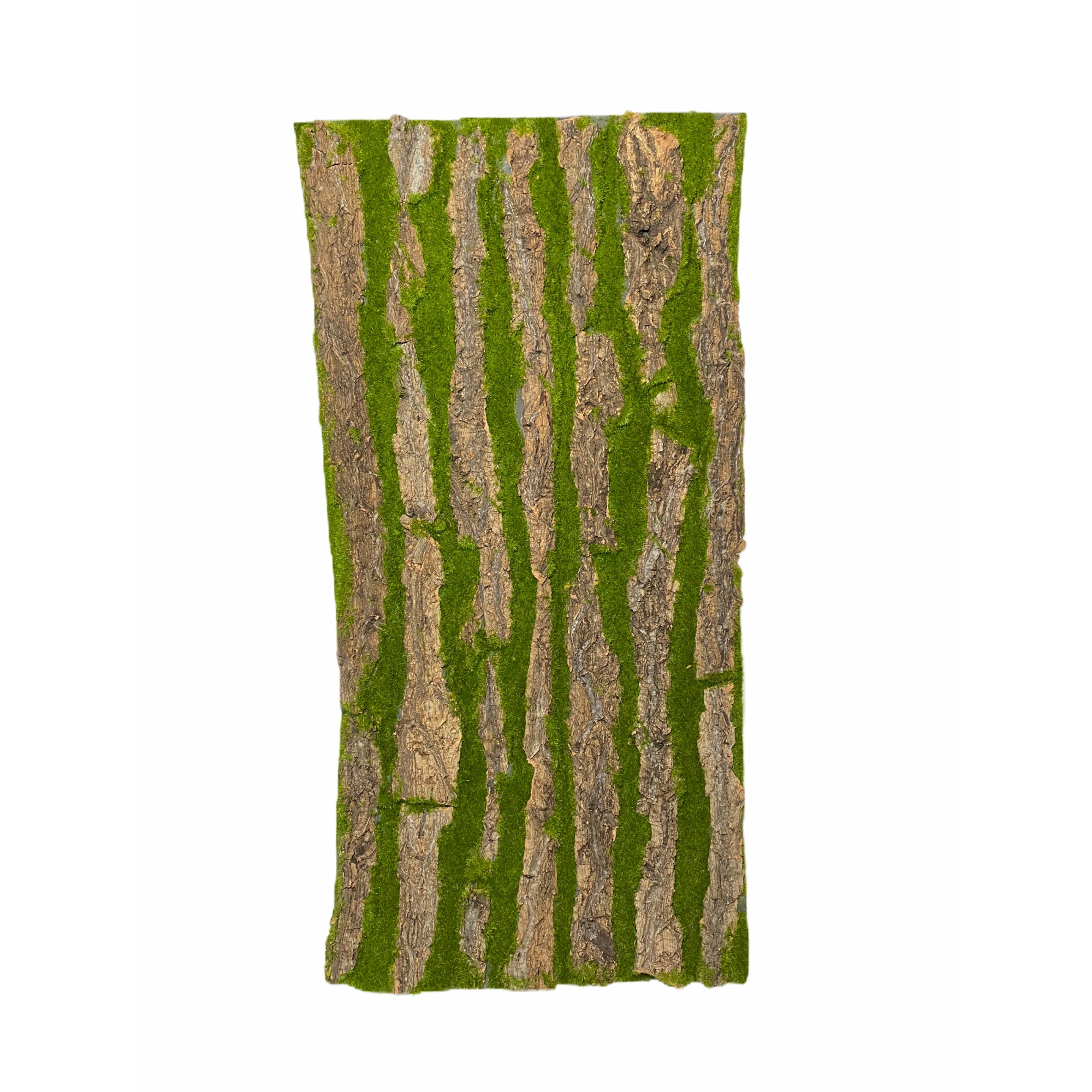 Decoratie coaja de copac Atelier, 100x50cm, Verde - eMAG.ro