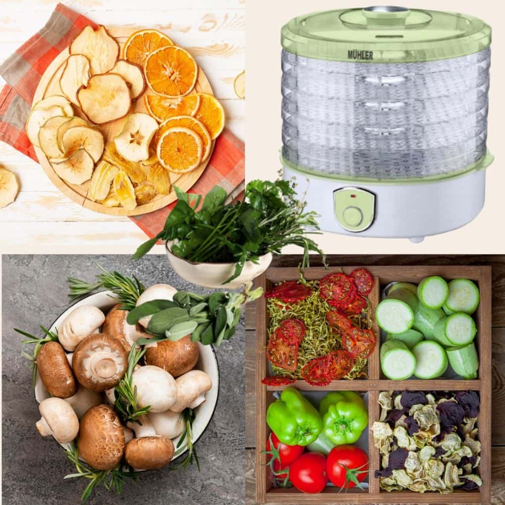 Deshidrator uscator de legume, fructe si mirodenii Muhler DHY-1300 ...