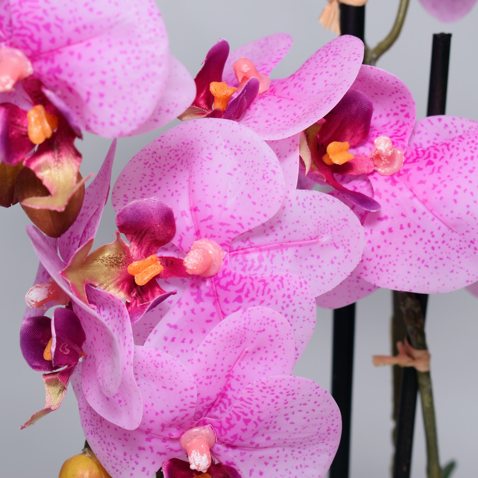 Orhidee artificiala, ghiveci ceramic, aspect 100% natural, multicolor ...