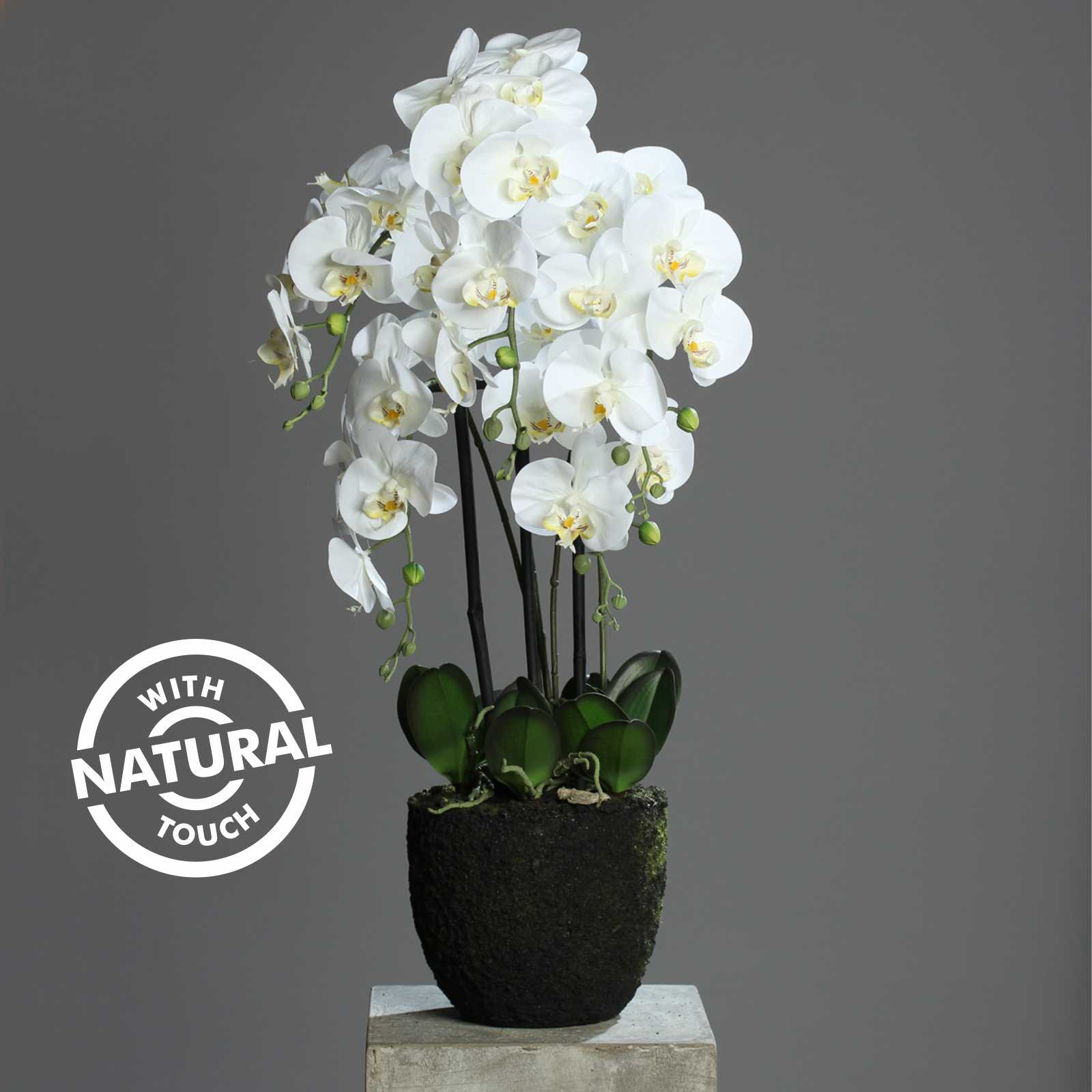 Orhidee artificiala Phalaenopsis Fresh cu aspect 100% natural, 85 cm ...