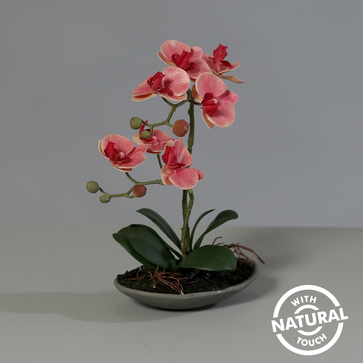 Orhidee artificiala, in ghiveci, cu aspect 100 % natural, multicolor ...