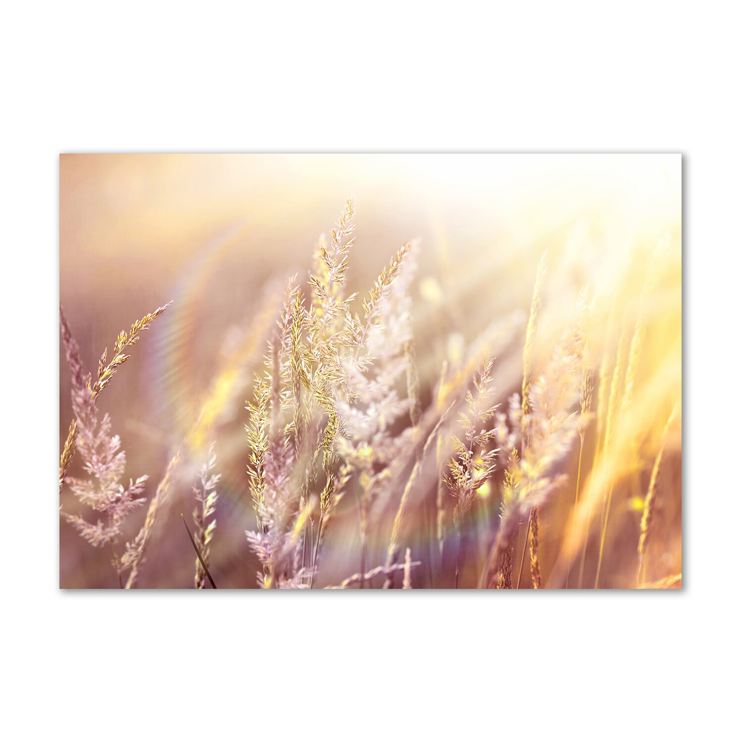 Pictura pe panza, 100 x 70cm, Decorarea peretilor "Iarba inalta” - eMAG.ro