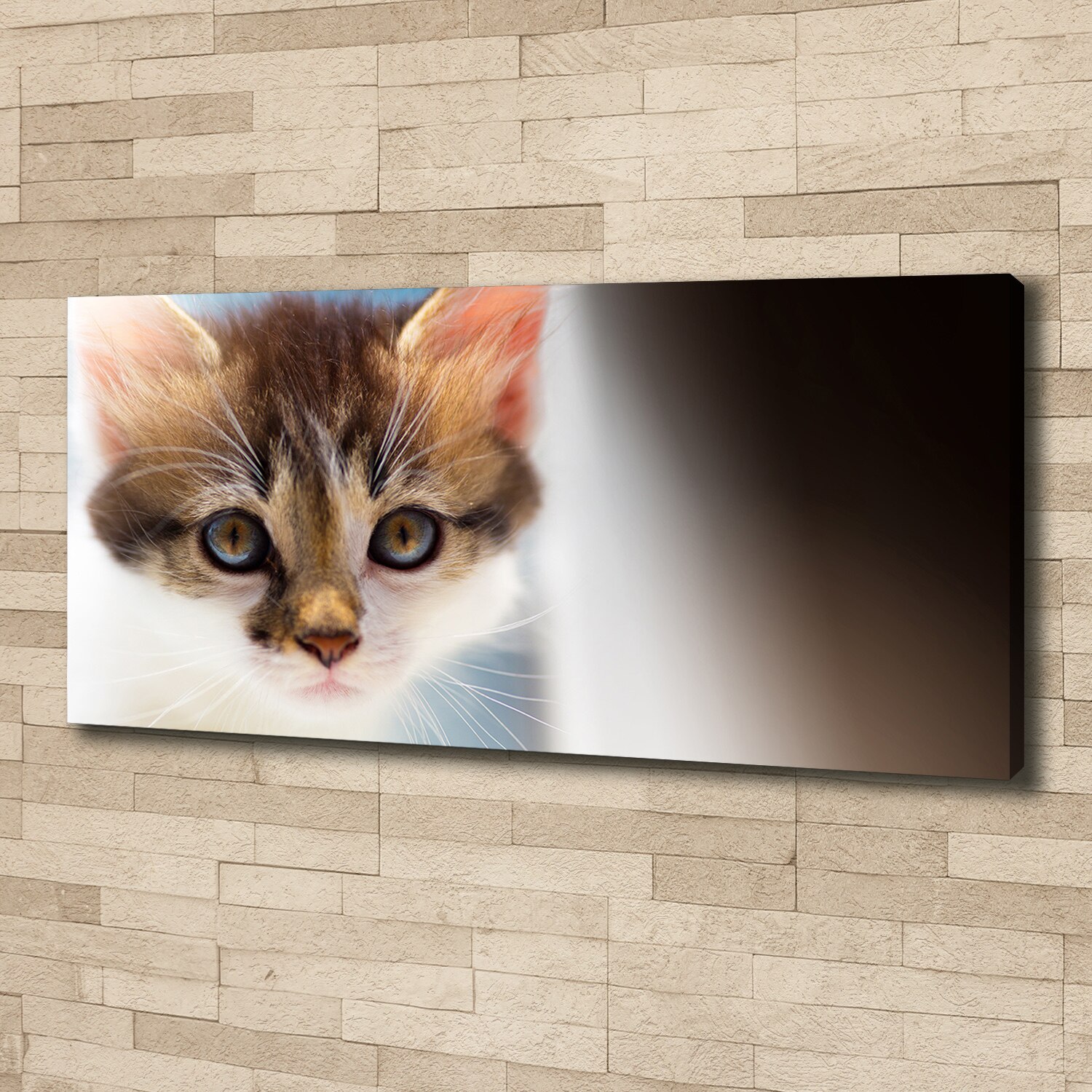 Pictura pe panza, 125 cm x 50 cm, Decorarea peretilor - Pisica mica ...