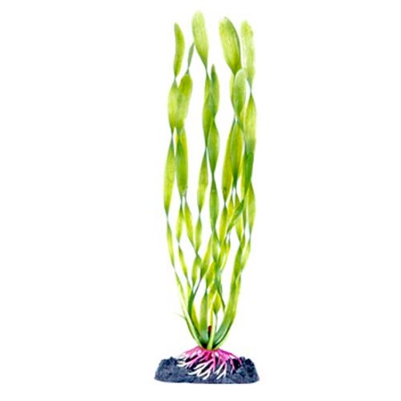 Planta artificiala acvariu, Penn Plax, Pipirig spiralat, 22 cm - eMAG.ro