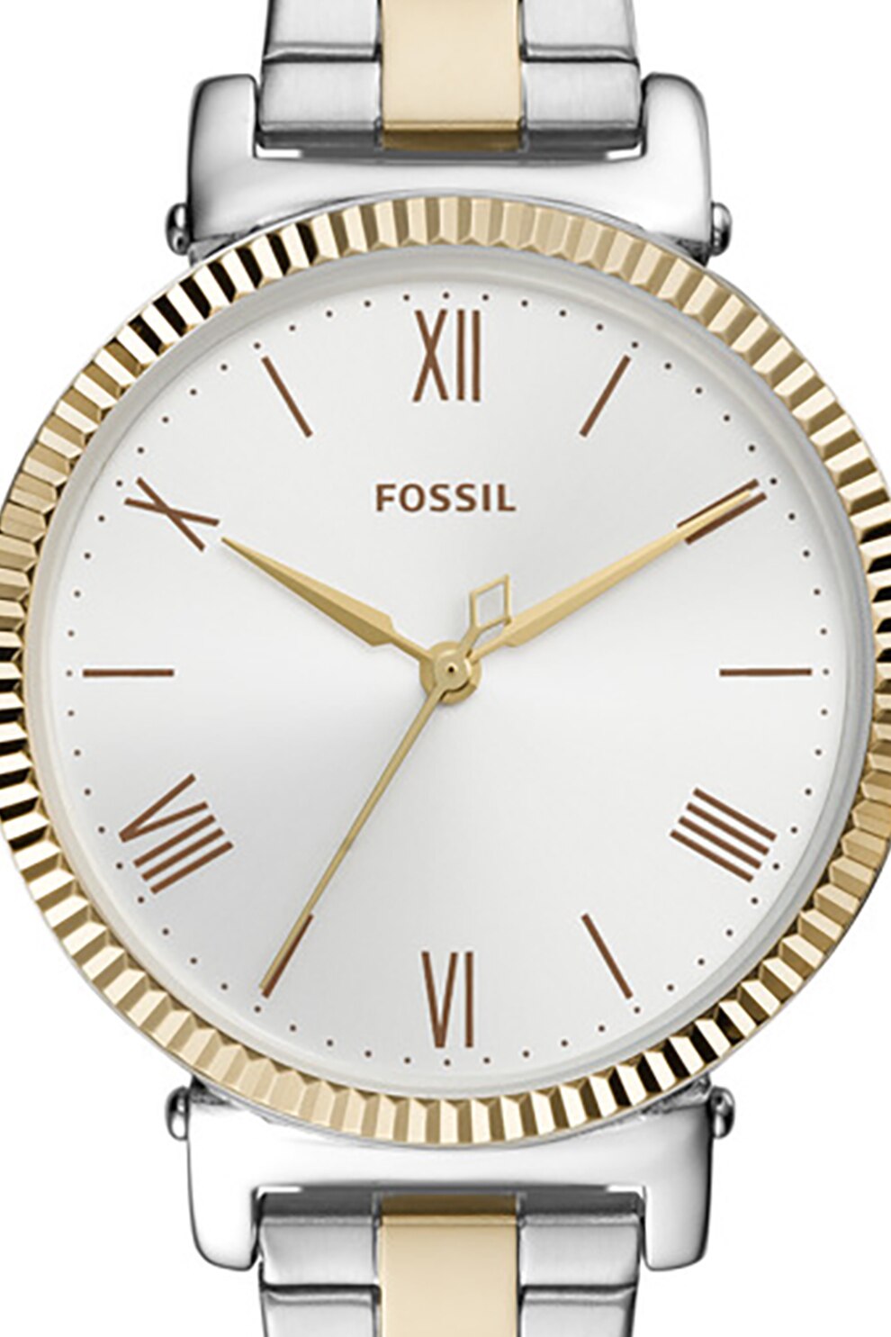 Fossil, Ceas quartz din otel inoxidabil cu model bicolor Daisy ...