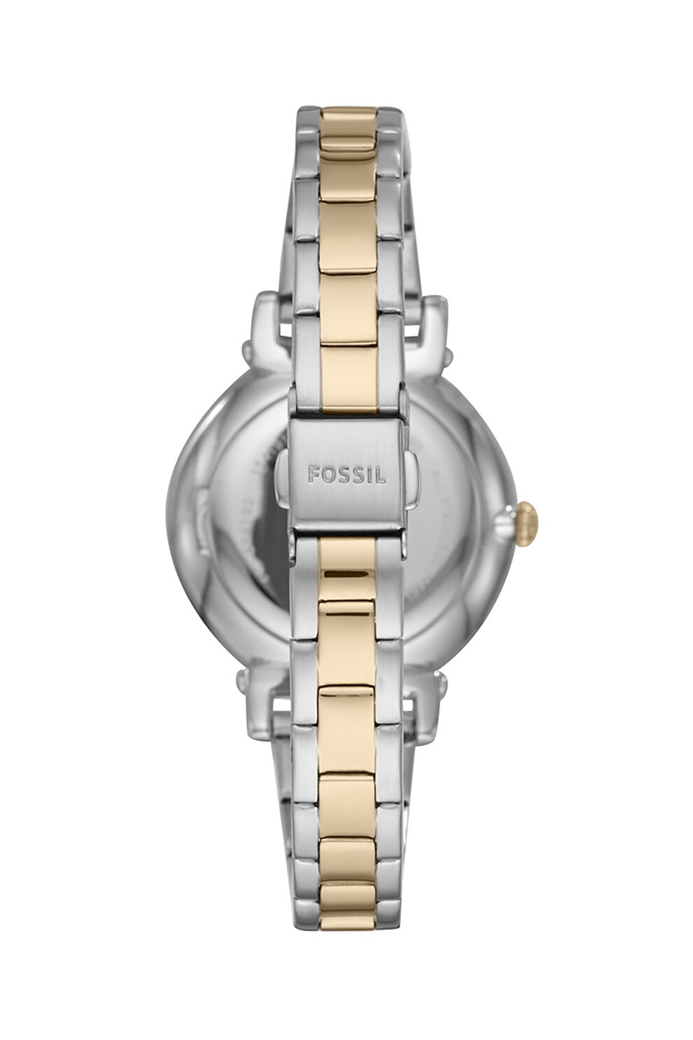 Fossil, Ceas quartz din otel inoxidabil cu model bicolor Daisy ...