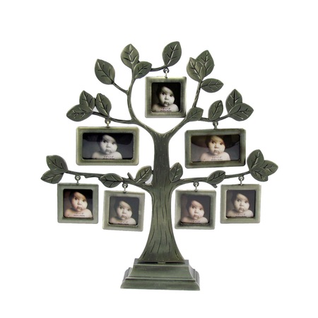 Rama foto arbore - eMAG.ro