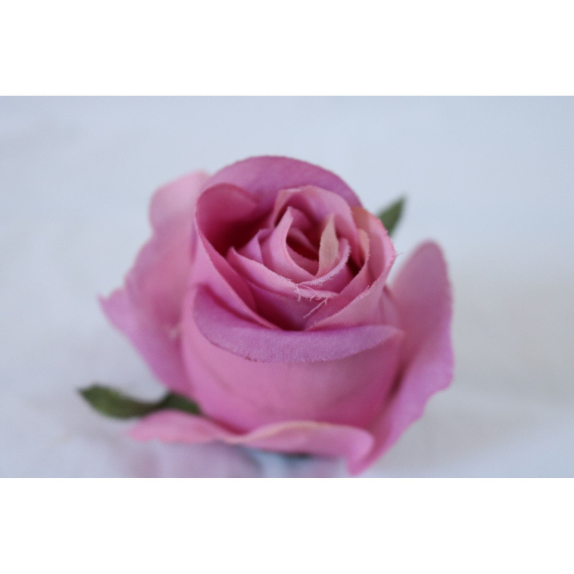 Set 12 x cap trandafir, Roz, 10 cm - eMAG.ro