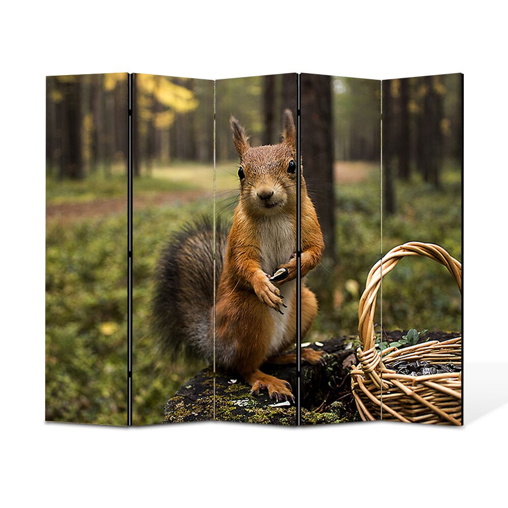 Paravan 5 piese Premium Heartwork TrueColor, Veverita cu alune, Panza ...