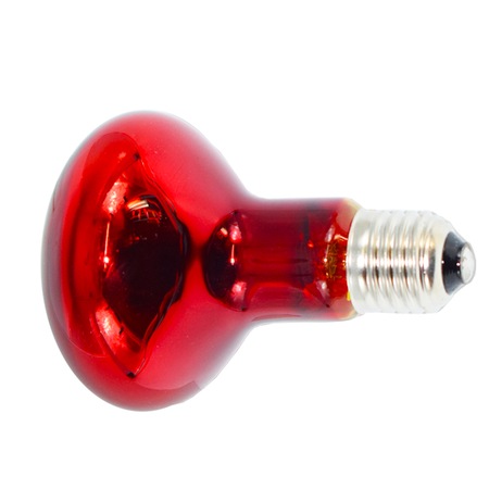 Bec pentru incalzire R80, rosu complet 100W - eMAG.ro