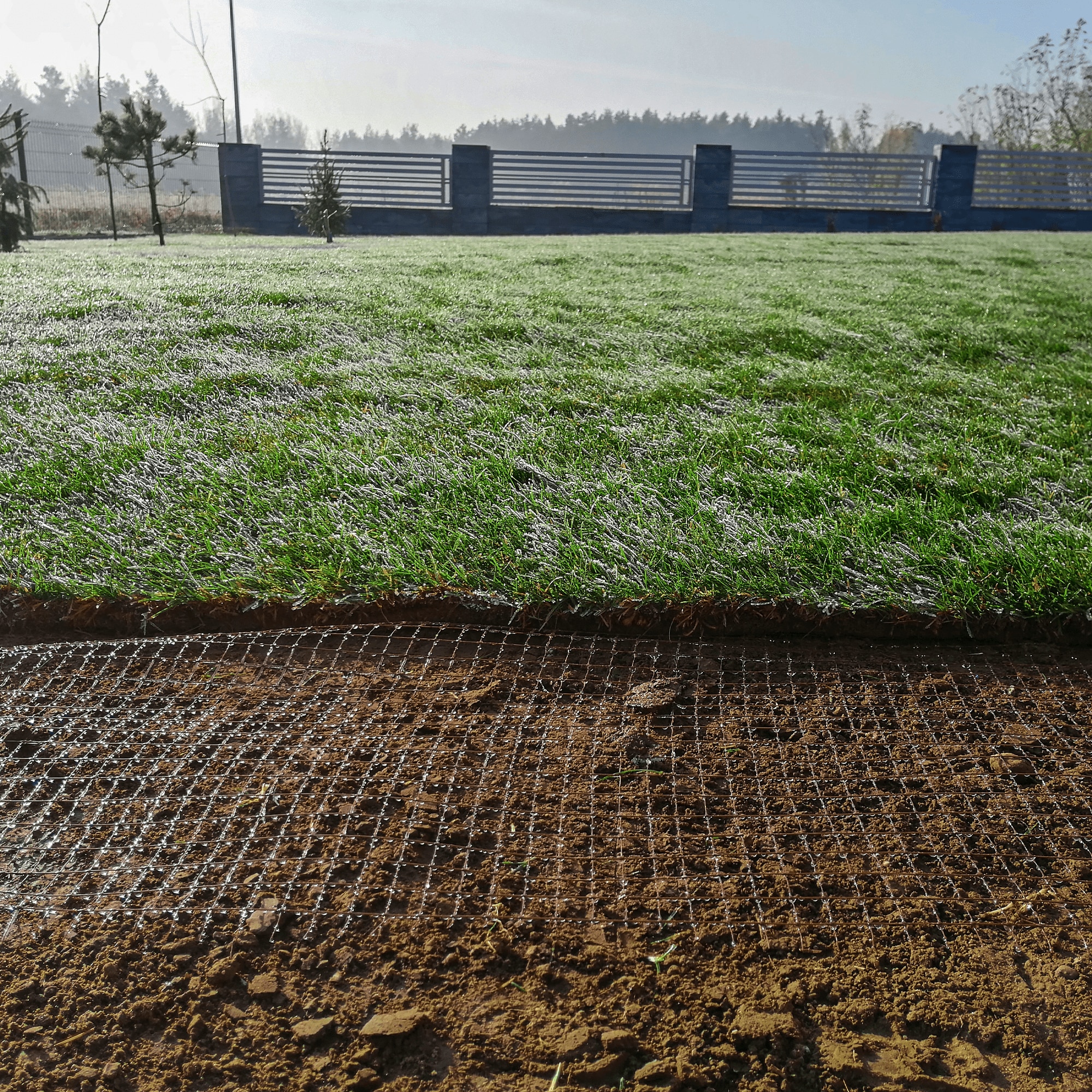 Plasa anti cartite OxyMole, rola 1 x 200 m - eMAG.ro