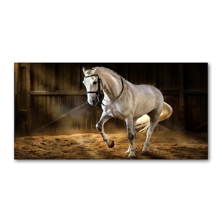 Pictura pe panza. 100x 50cm. Decorarea peretilor "Cal alb in grajd ...