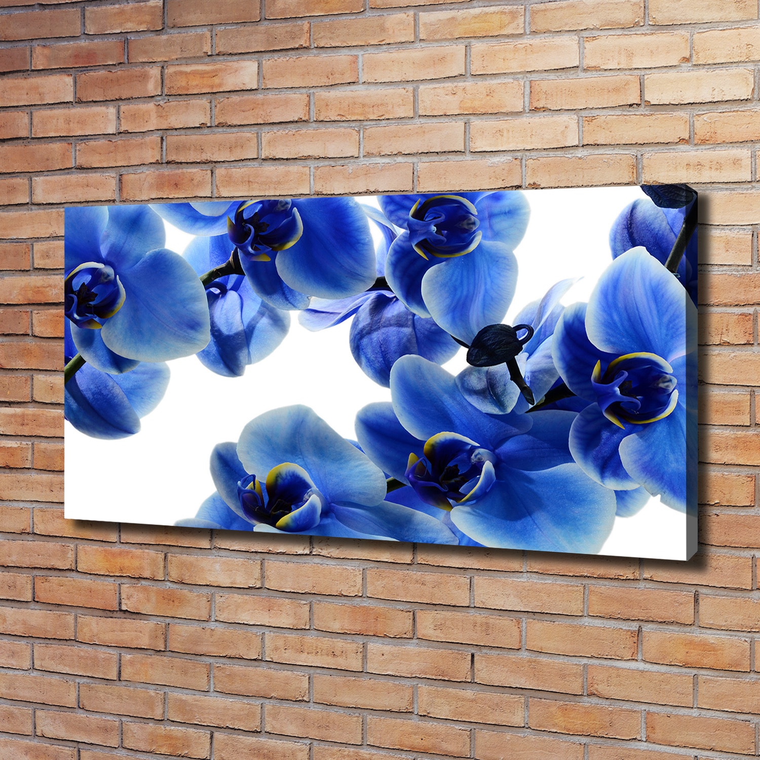 Pictura pe panza, 120 cm x 60 cm, Decorarea peretilor - Orhidee ...