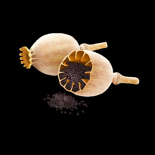 Mac seminte, Natural Seeds Product, 1kg - eMAG.ro