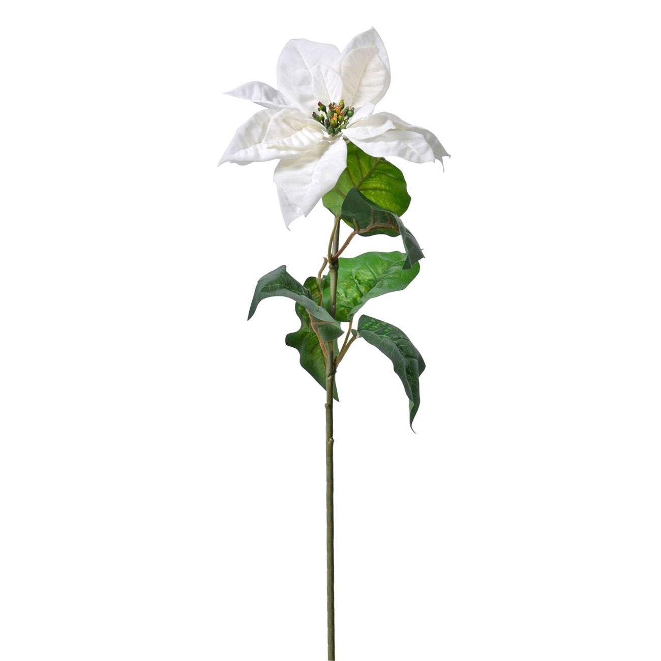 Floare ornamentala alb verde de Craciun, 66 cm - eMAG.ro