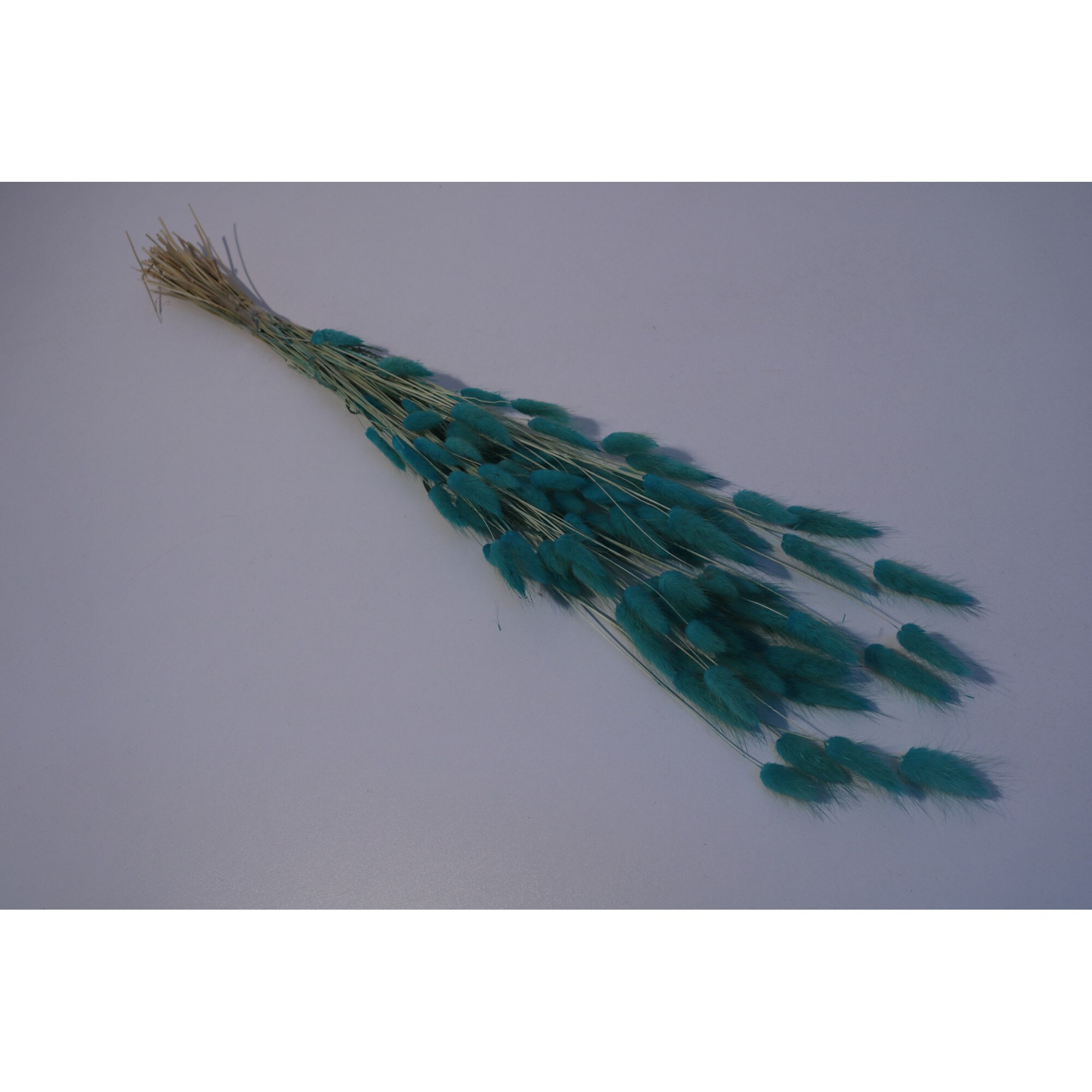 Buchet de flori Lagurus, turcoaz, 69 cm - eMAG.ro