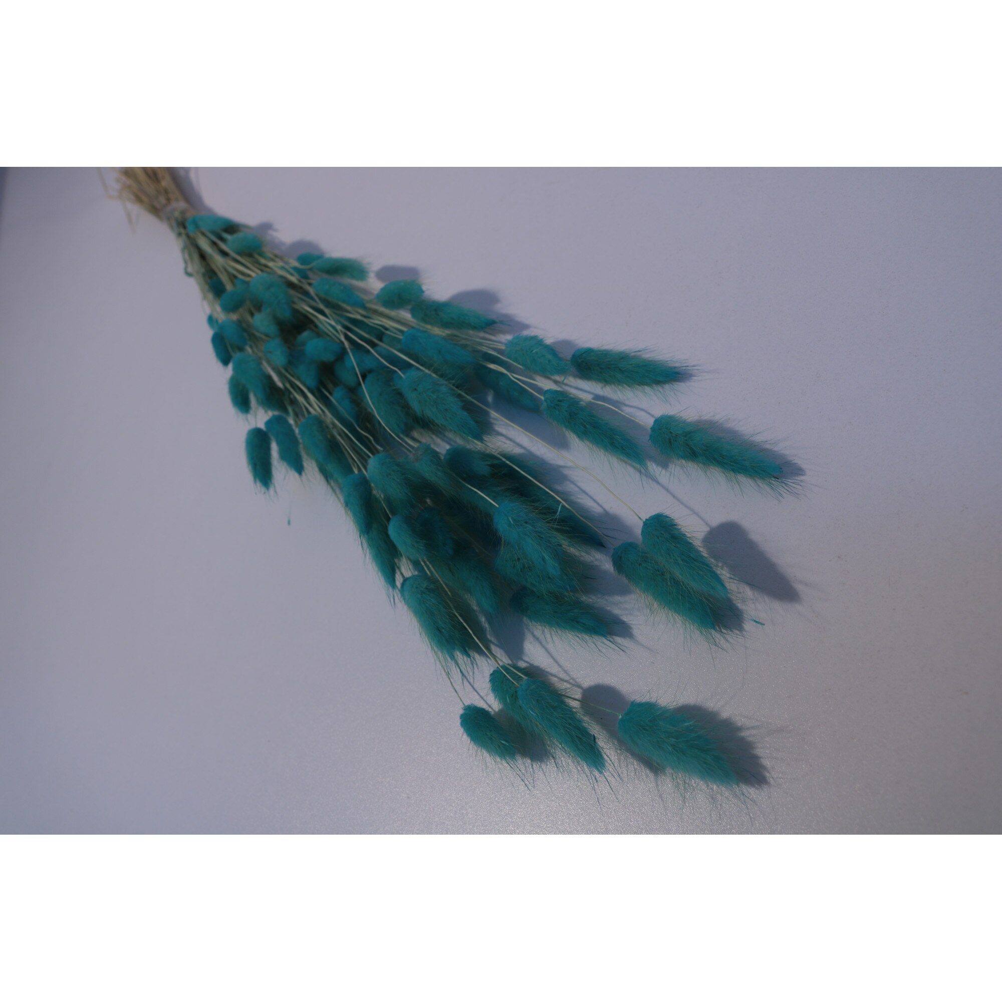 Buchet de flori Lagurus, turcoaz, 69 cm - eMAG.ro