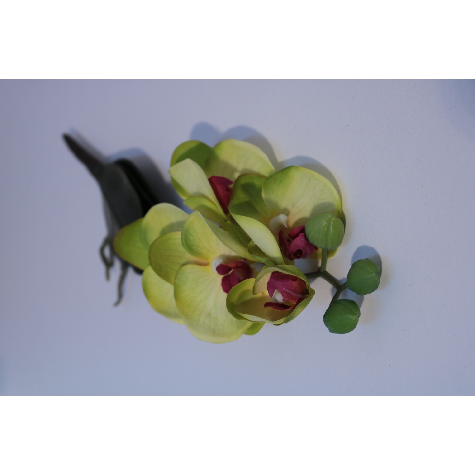 Fir Orhidee cu radacina, verde, 40 cm - eMAG.ro