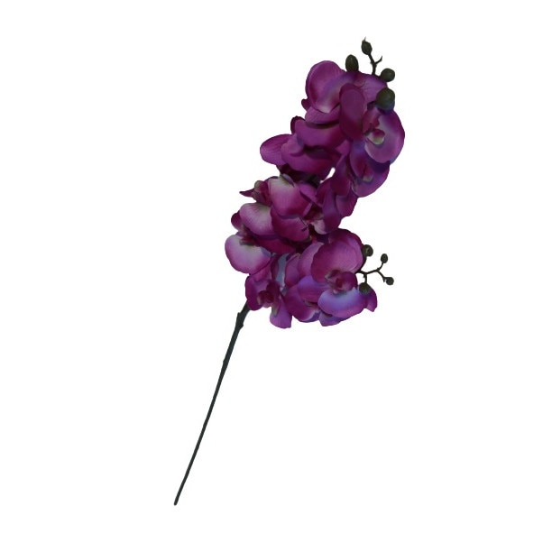 Fir Orhidee, mov, 65 cm - eMAG.ro