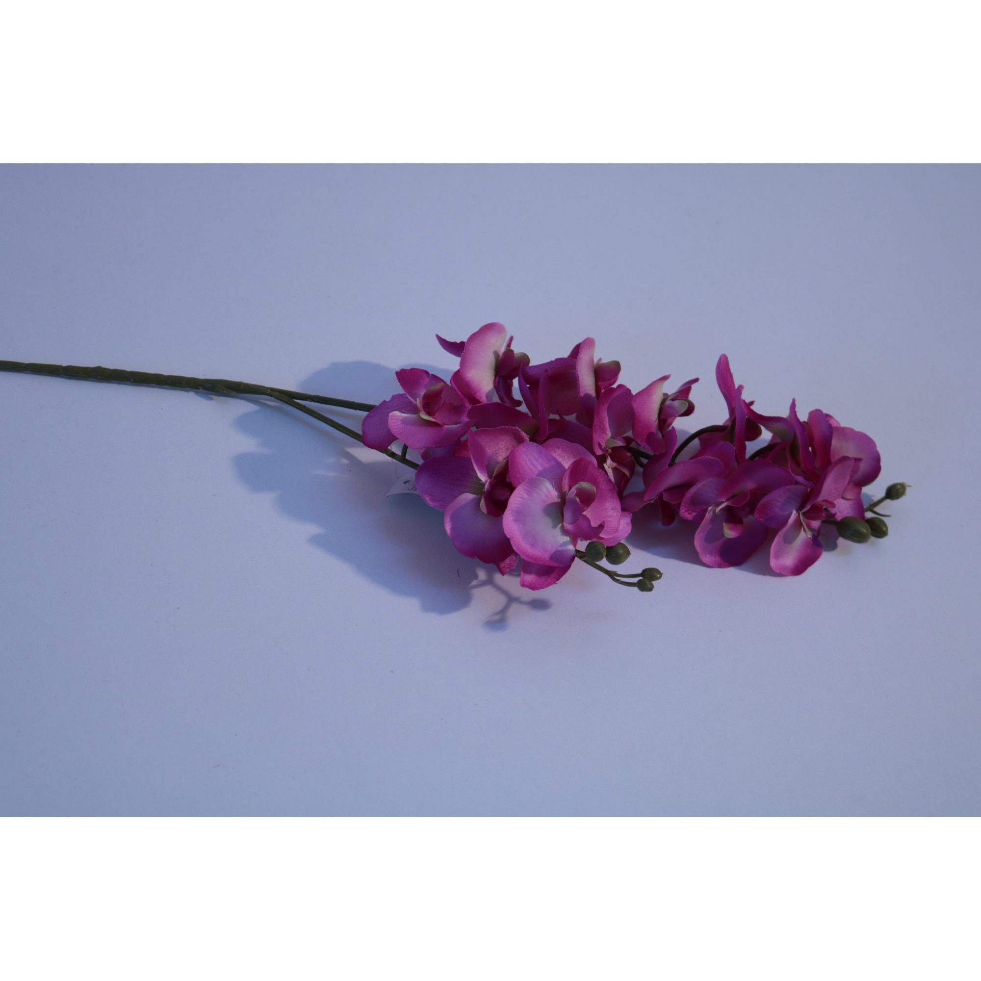 Fir Orhidee, mov, 65 cm - eMAG.ro