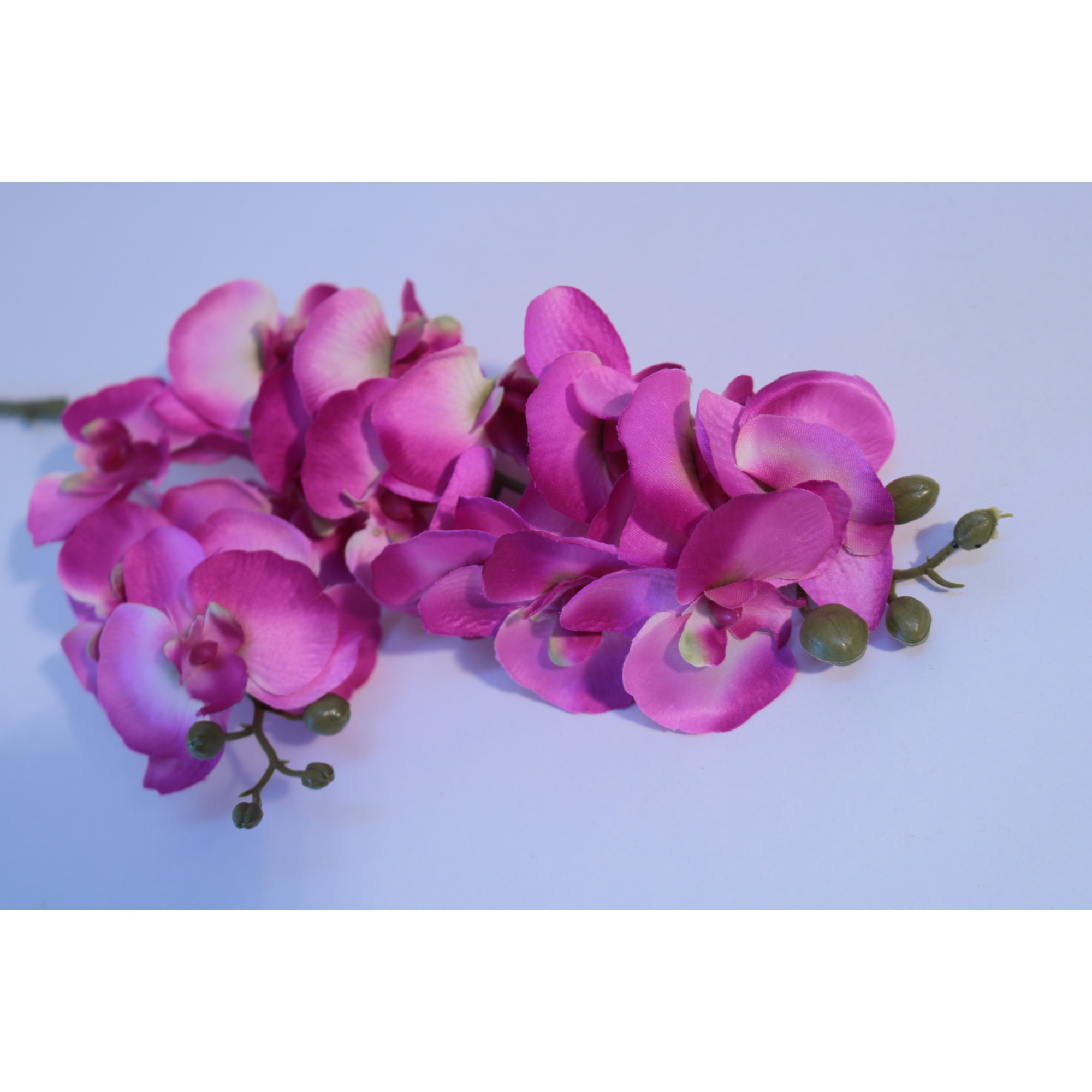 Fir Orhidee, mov, 65 cm - eMAG.ro