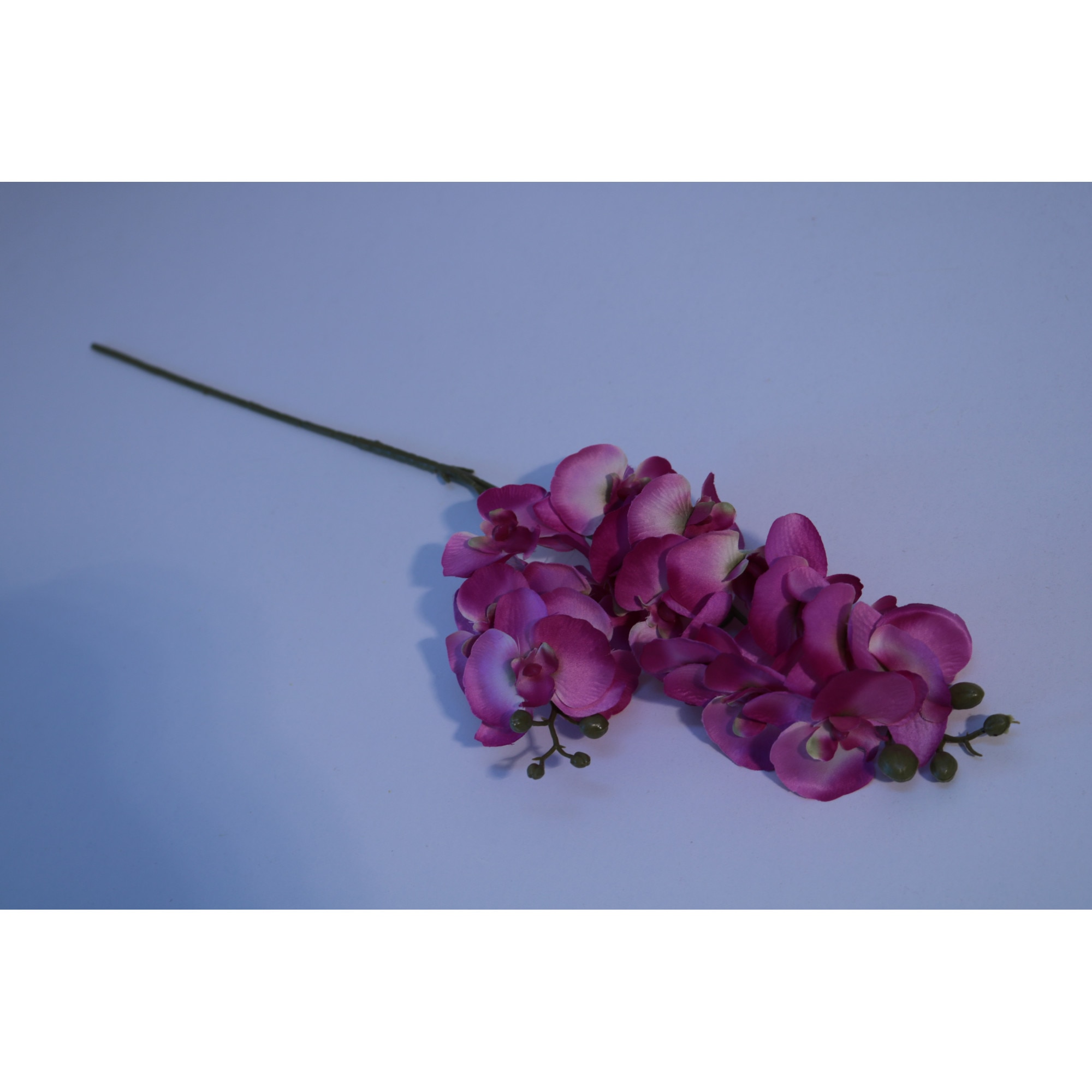 Fir Orhidee, mov, 65 cm - eMAG.ro