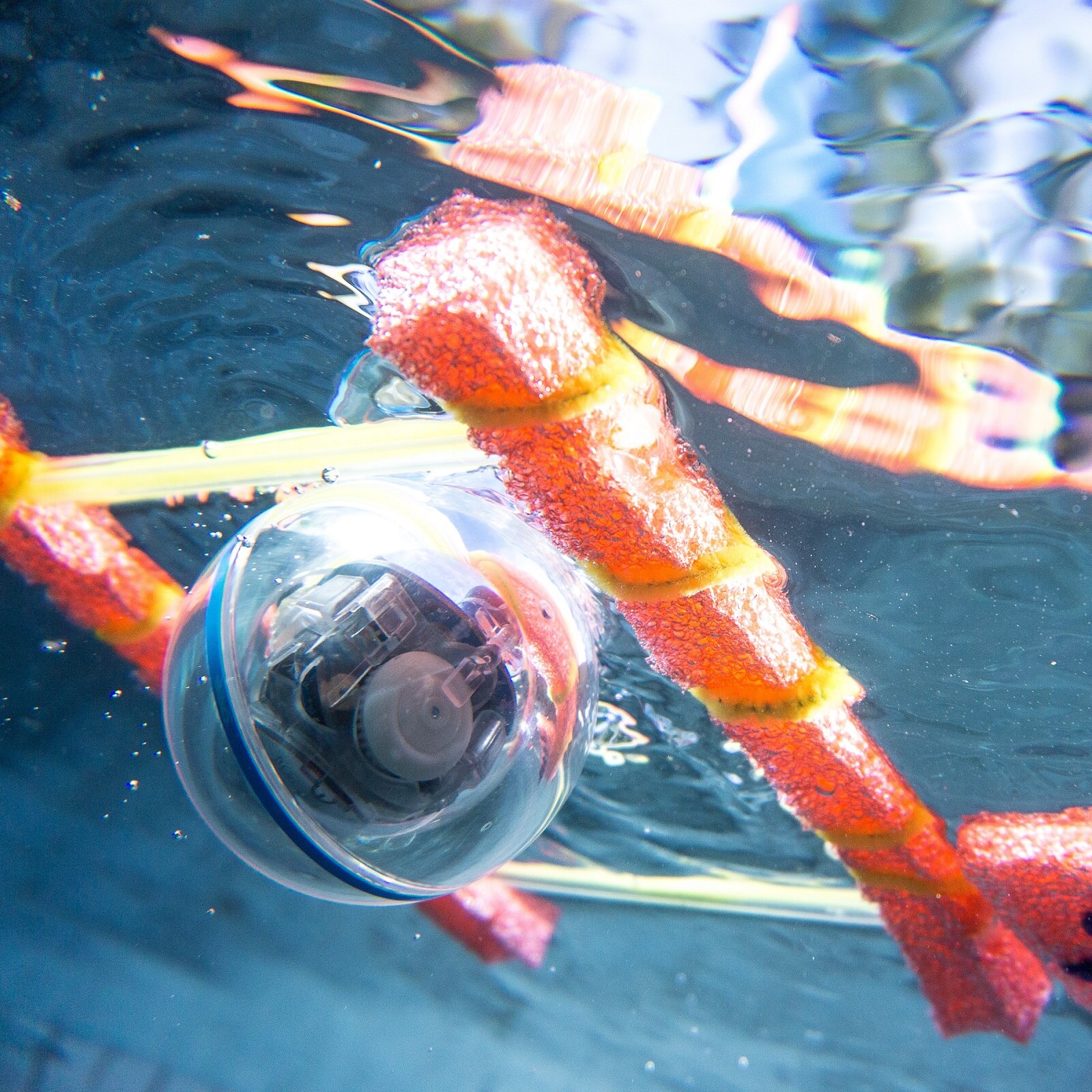 Robot inteligent Sphero, SPRK+Edition, Robotic Gaming System - eMAG.ro