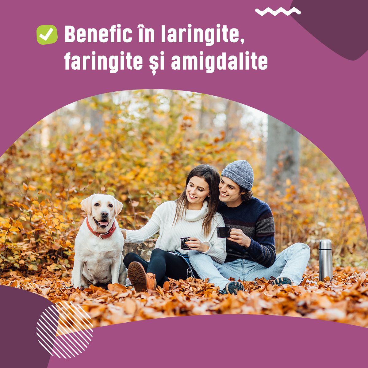 Supliment alimentar imunitate, Doza de Sanatate, Scut imunitar Forte ...