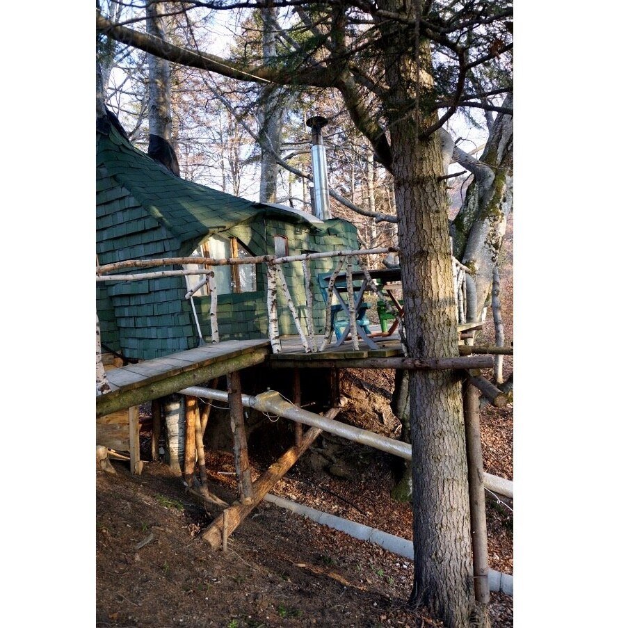 Inchiriere Casa din copac tip 2 Complex Harmonie, 2 nopti, 11.01.2021 ...