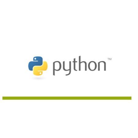 Curs online de programare in limbajul Python pentru incepatori, varsta ...