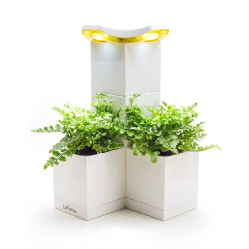 Gradina interioara inteligenta LeGrow TG-L Allocacoc DH0057 - eMAG.ro