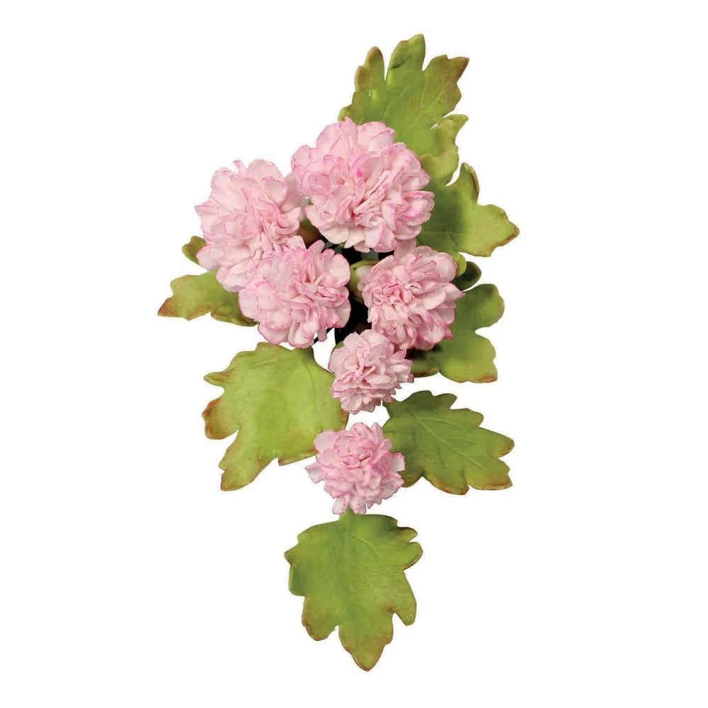 Set decupatoare fondant Garoafa PME, 3 buc - eMAG.ro