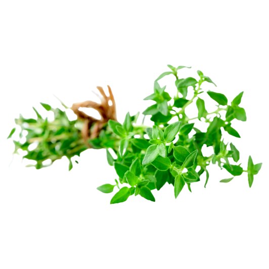Cimbru, Natural Seeds Product, 1Kg - eMAG.ro