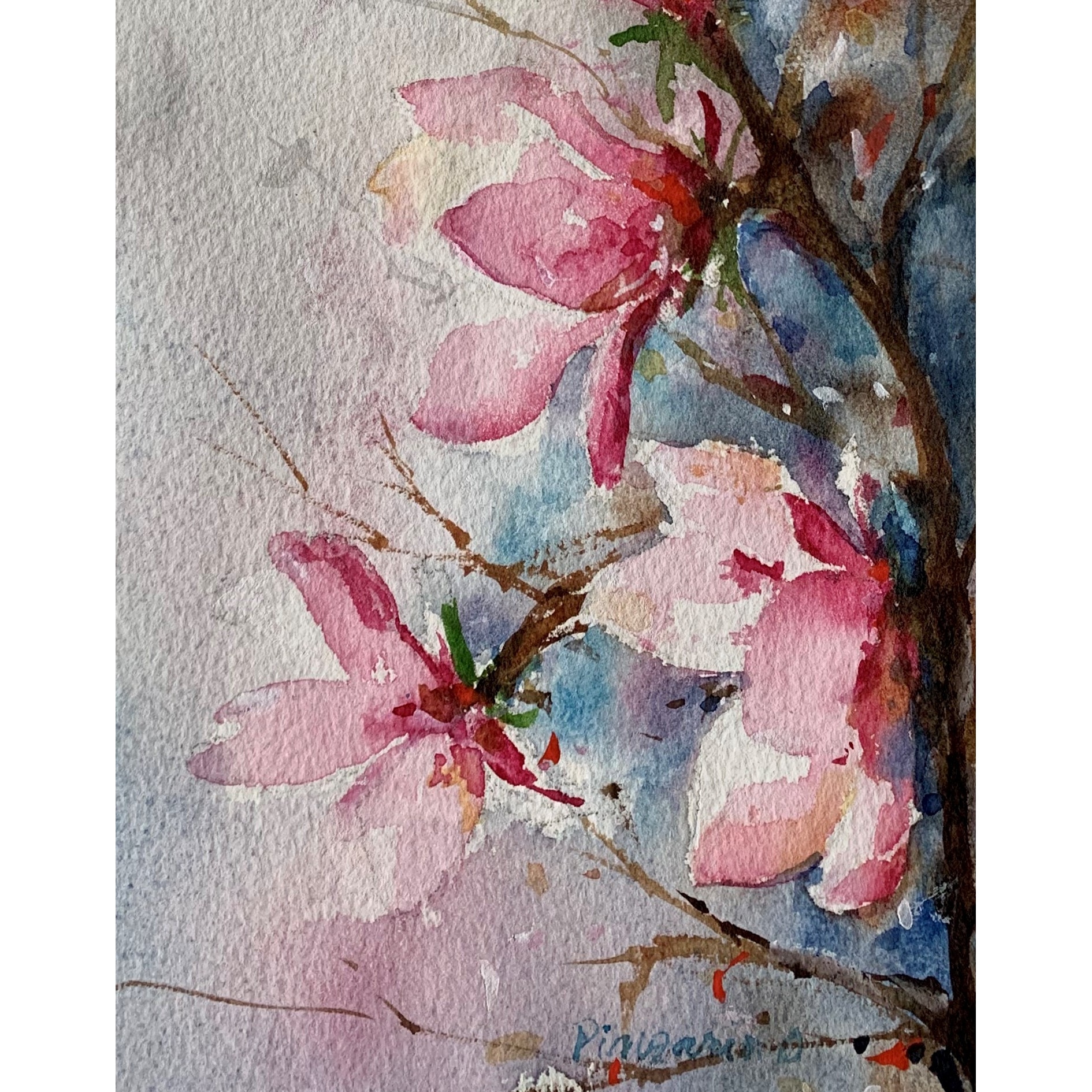 Pictura in acuarela Magnolii, flori de primavara - pictat manual de ...
