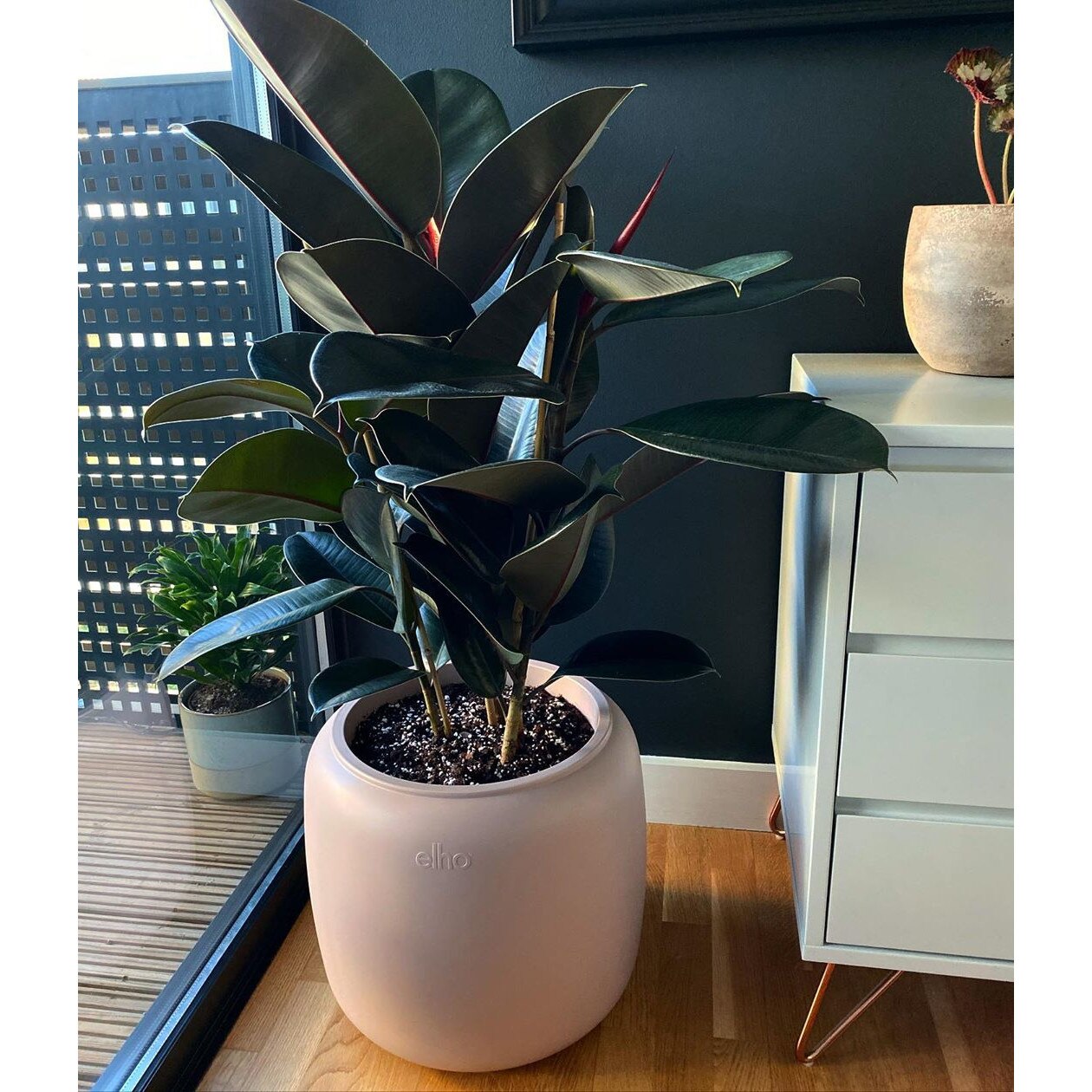 Elho Pure Beads cserép, Small Pebble modell, rózsaszín - eMAG.hu