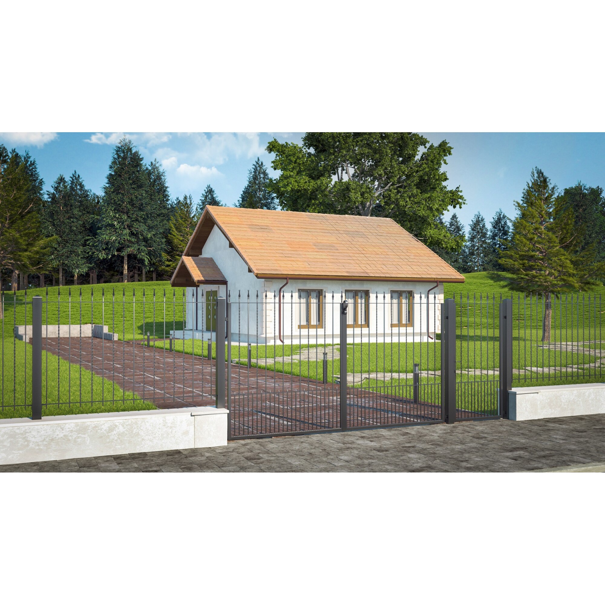 Set poarta auto si pietonala, Todome, fier forjat 02, negru, 450 x 180 ...