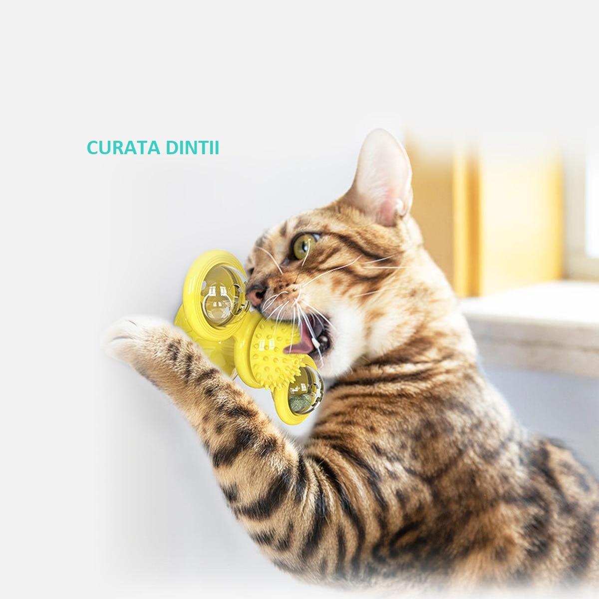 Jucarie pentru pisici, interactiva, rotativa, lumina, menta pisici ...