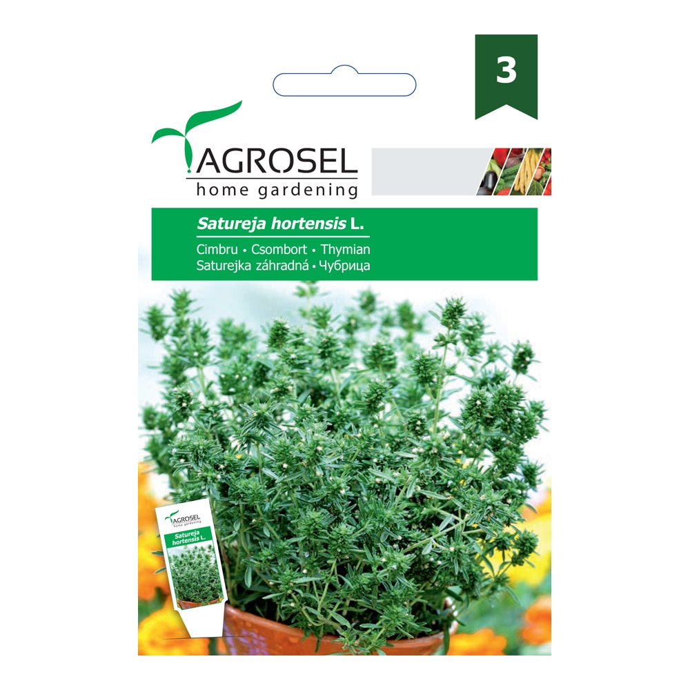 Seminte cimbru Common, AGROSEL - eMAG.ro