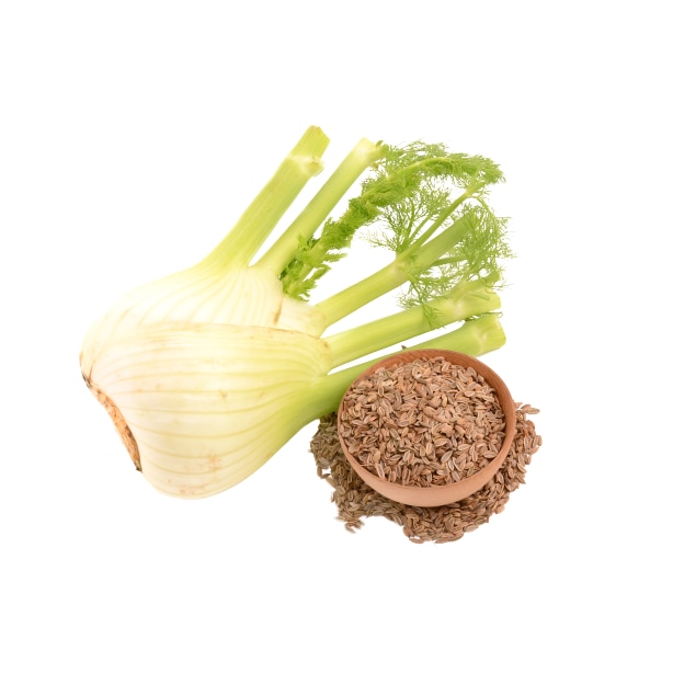 Fenicul seminte 50gr, Natural Seeds Product - eMAG.ro