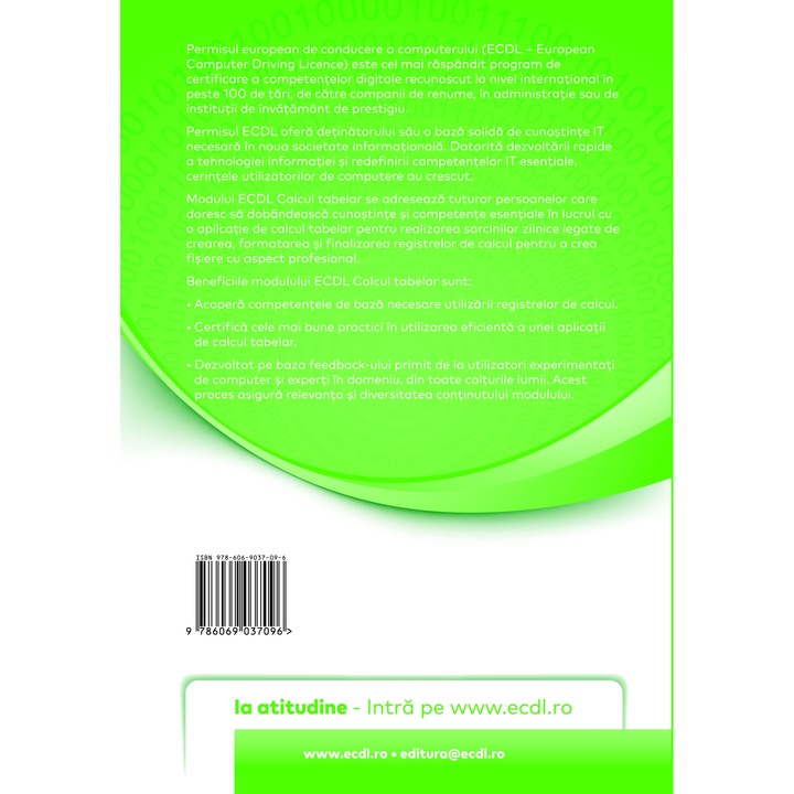 Manual ECDL Calcul tabelar - Microsoft Excel 2019 - Raluca Constantinescu, Ionut Danaila - eMAG.ro