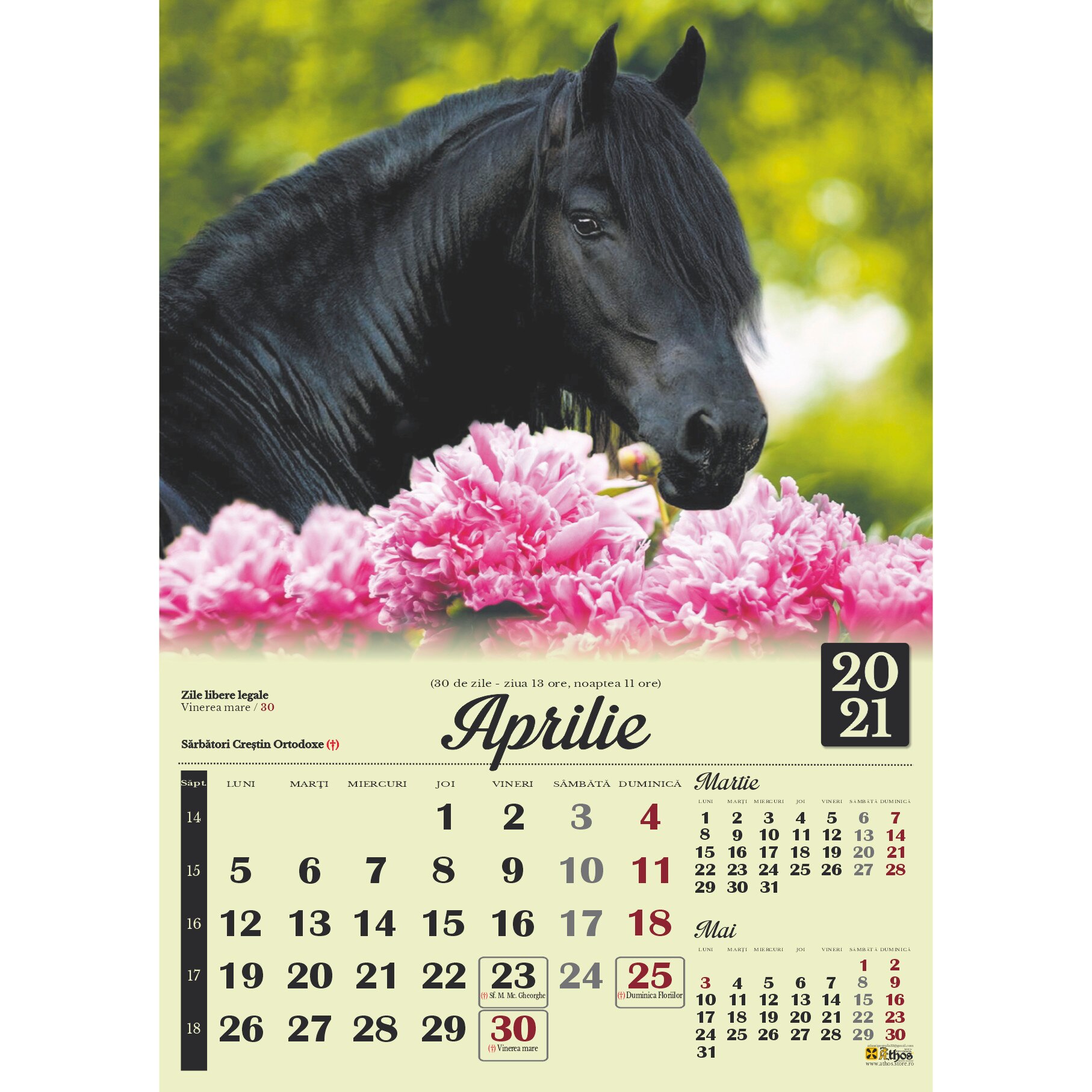 Calendar de perete 2021, Cai, 13 file, 33x47 cm - eMAG.ro