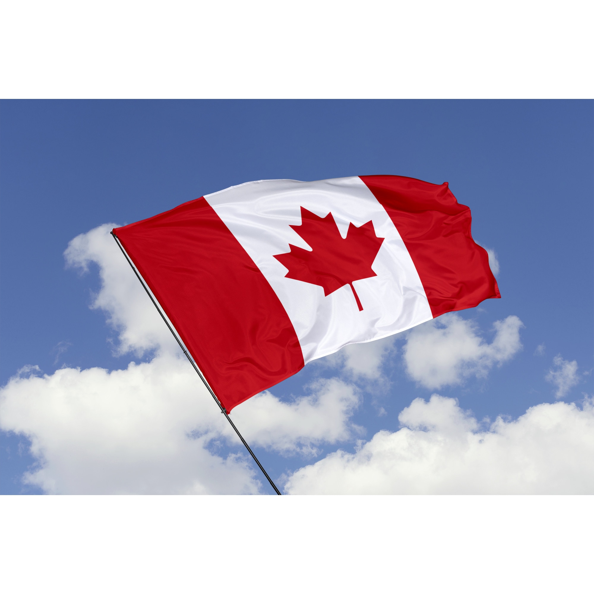 Steag Canada ,TIDA-RO, Poliester, 100 x 150 cm - eMAG.ro