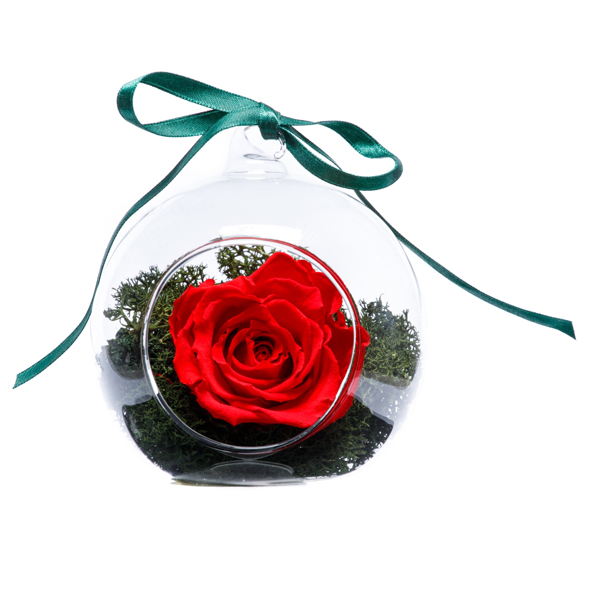 Trandafir criogenat rosu XL, in glob de sticla ,pe pat de licheni 10 cm ...