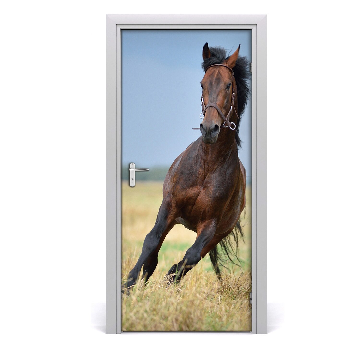 Stickere decorative, Tulup, Autocolante pentru usi, model Cal pe perete ...