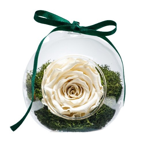 Trandafir criogenat alb XL, in glob de sticla ,pe pat de licheni 10 cm ...