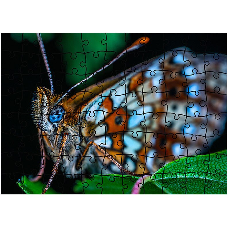 Puzzle Art Factory 96 piese, Close-up fluture ochi albastrii, animale ...